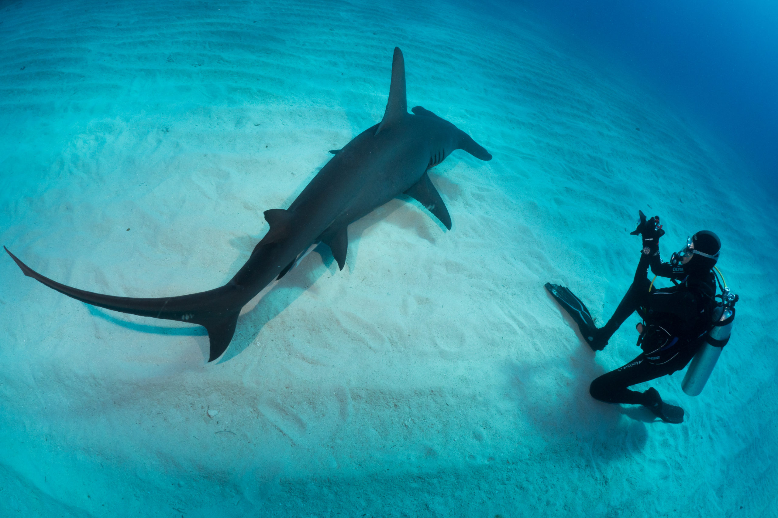 Un nouveau projet en préparation – Ethical Exploration